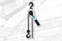 TOYO Brand The First And Largest Electic Hoist Manufacturer In Northern ...